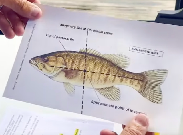 Barb's Best Fizz Kit